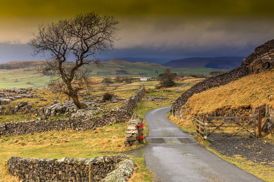 Winkill Images – Browse 1 Stock Photos, Vectors, and Video | Adobe Stock