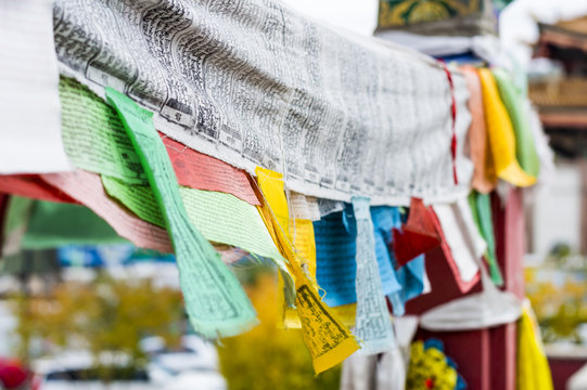 「Lusar」の写真素材 | 15件の無料イラスト画像 | Adobe Stock