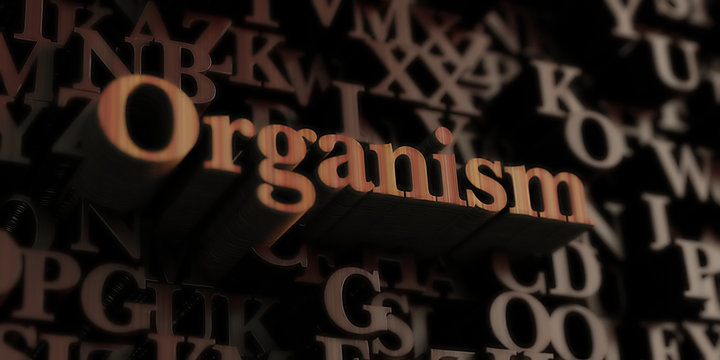 รูปภาพOrganism – เลือกดูภาพถ่ายสต็อก เวกเตอร์ และวิดีโอ1,857,529 ...