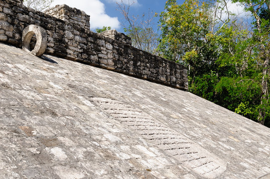 Courd bilder – Bläddra bland 34 stockfoton, vektorer och videor | Adobe ...