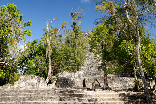 Courd bilder – Bläddra bland 34 stockfoton, vektorer och videor | Adobe ...