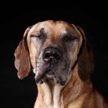 Richback Images – Browse 33 Stock Photos, Vectors, and Video | Adobe Stock