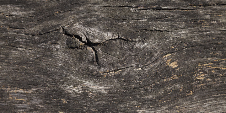 Disunite Bilder – Durchsuchen 6,647 Archivfotos, Vektorgrafiken und ...