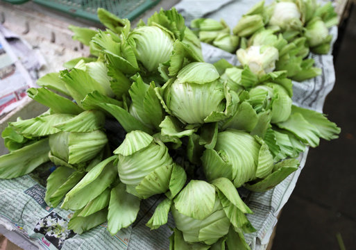 "Cabbage Varieties" Images – Browse 187 Stock Photos, Vectors, and ...