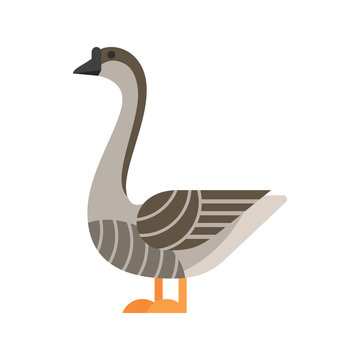 Goose-Flesh Images – Browse 18 Stock Photos, Vectors, and Video | Adobe ...