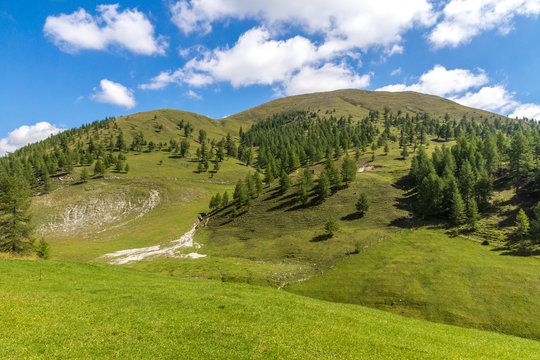 รูปภาพZirbenwald – เลือกดูภาพถ่ายสต็อก เวกเตอร์ และวิดีโอ131 | Adobe Stock