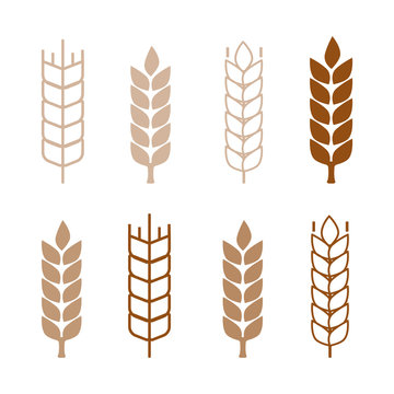 Wheat Vector Ai