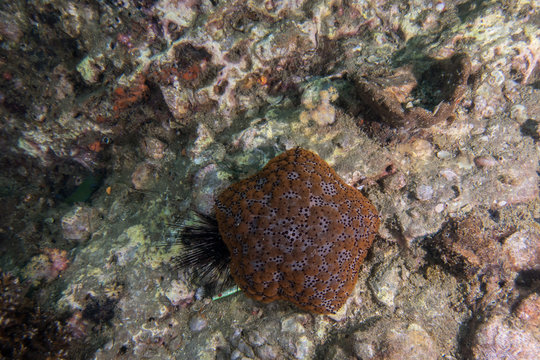 Provience Bilder – Durchsuchen 240 Archivfotos, Vektorgrafiken und ...