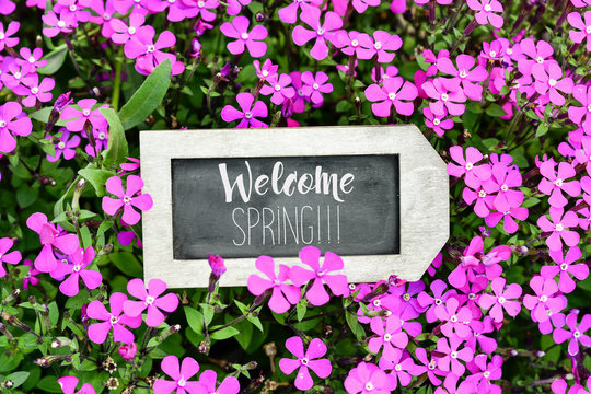 "Welcome Spring" Images – Browse 1,360 Stock Photos, Vectors, and Video ...