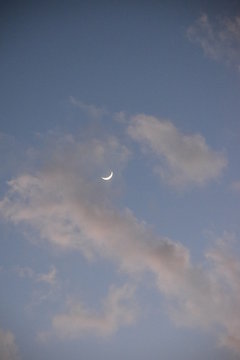 Moond Images – Browse 19 Stock Photos, Vectors, and Video | Adobe Stock