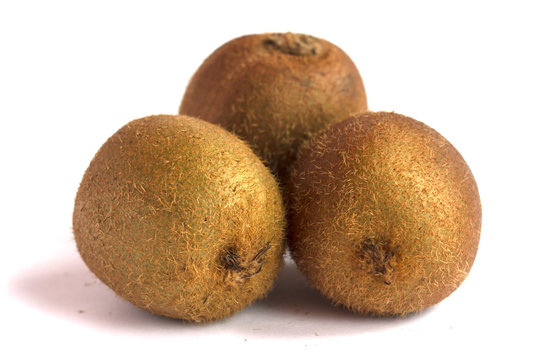 Kifi Imagens – Procure 13 fotos, vetores e vídeos | Adobe Stock