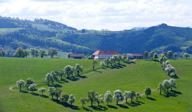 Vierkanthof Bilder – Durchsuchen 185 Archivfotos, Vektorgrafiken und ...