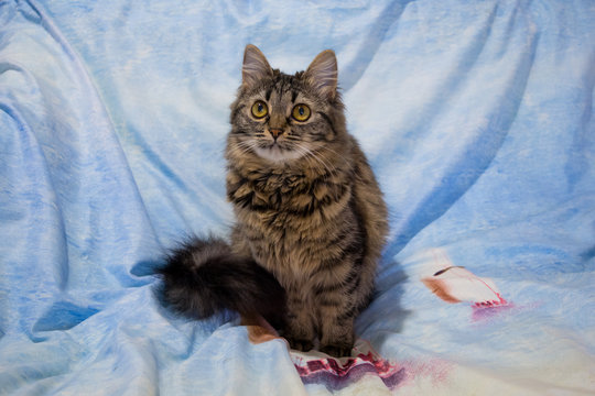 Fluey Bilder – Durchsuchen 667 Archivfotos, Vektorgrafiken und Videos ...