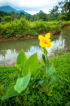 「Saging-Saging」の写真素材 | 2件の無料イラスト画像 | Adobe Stock