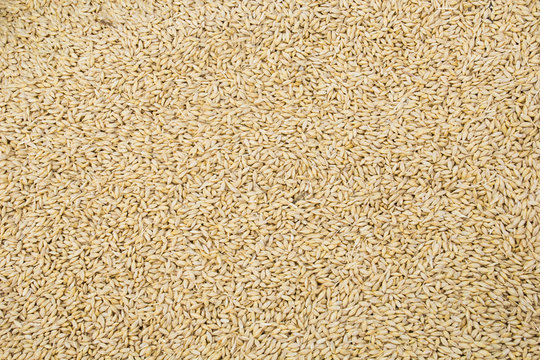 "Wheat Texture" Images – Browse 219 Stock Photos, Vectors, and Video ...