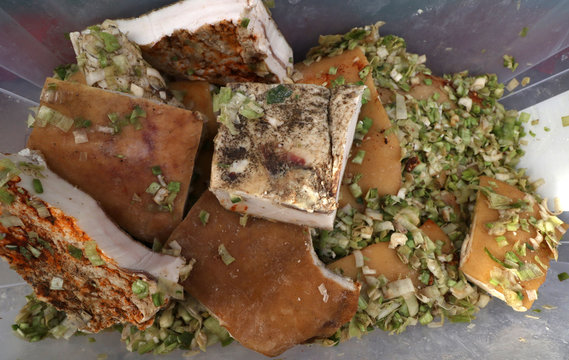 รูปภาพFatback – เลือกดูภาพถ่ายสต็อก เวกเตอร์ และวิดีโอ1,538 | Adobe Stock