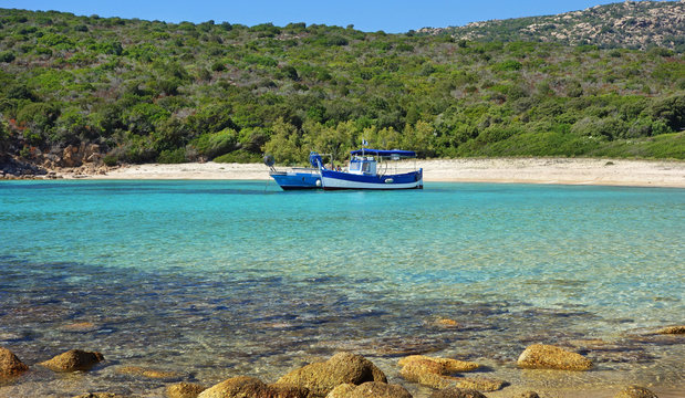 รูปภาพTizzano – เลือกดูภาพถ่ายสต็อก เวกเตอร์ และวิดีโอ160 | Adobe Stock