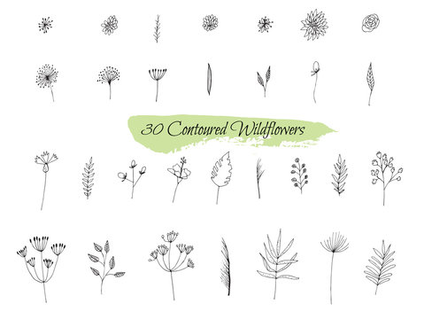 Cartoon Flower Outline Images – Browse 1,254 Stock Photos, Vectors, and ...