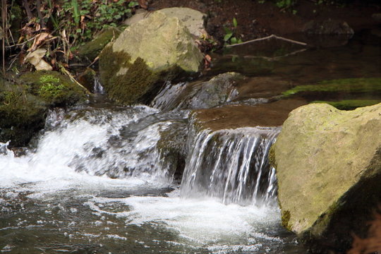 Serpenter Bilder – Durchsuchen 196 Archivfotos, Vektorgrafiken und ...