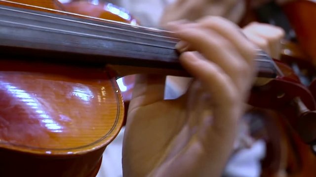 Fiddle-Stick Images – Browse 87 Stock Photos, Vectors, and Video ...