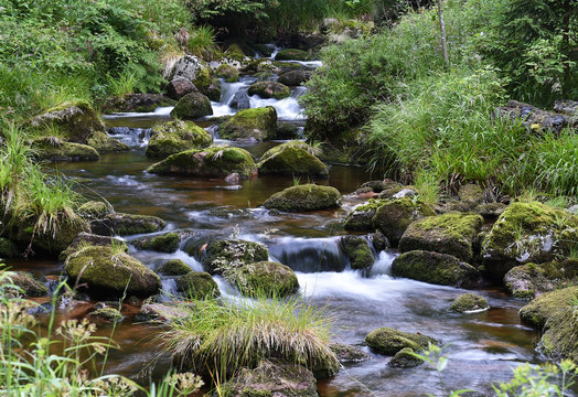 Wildwasser bilder – Bläddra bland 7,362 stockfoton, vektorer och videor ...