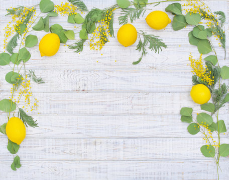 12,348 BEST Lemon Border IMAGES, STOCK PHOTOS & VECTORS | Adobe Stock