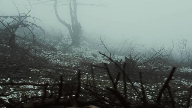 Dark Barren Wasteland