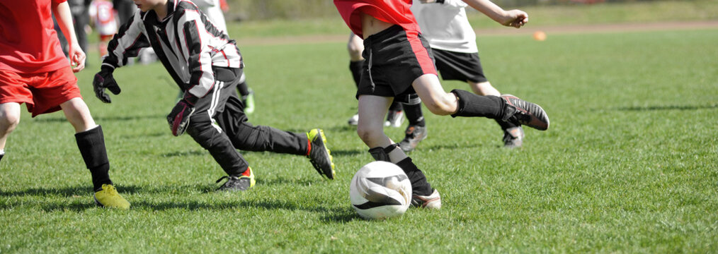 「Dribbeln」の画像 - 294 件の Stock 写真、ベクターおよびビデオ | Adobe Stock