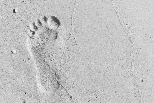 Footprint Images – Browse 310,910 Stock Photos, Vectors, and Video ...