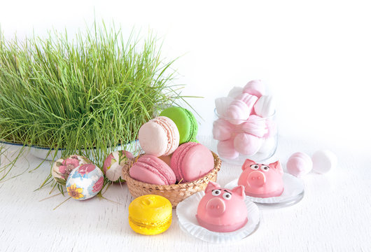 Mini-Pigs Bilder – Durchsuchen 24 Archivfotos, Vektorgrafiken und ...