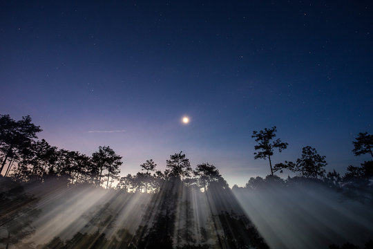 "Moon Rays" 이미지 – 찾아보기 241 스톡 사진, 벡터 및 비디오 | Adobe Stock