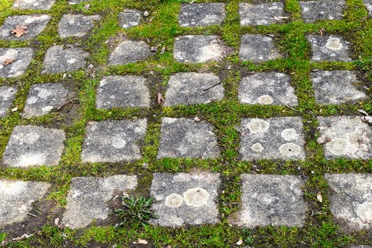 Rasenpflaster Images – Browse 23 Stock Photos, Vectors, and Video ...