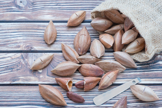 รูปภาพPili – เลือกดูภาพถ่ายสต็อก เวกเตอร์ และวิดีโอ1,989 | Adobe Stock