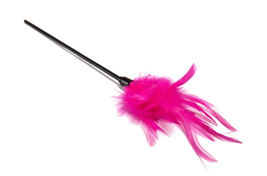 Flogger Images – Browse 947 Stock Photos, Vectors, and Video | Adobe Stock