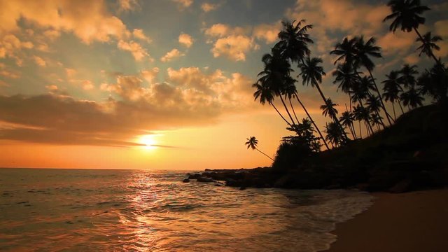 Tropical Beach Sunset Images – Browse 1,311,487 Stock Photos, Vectors ...