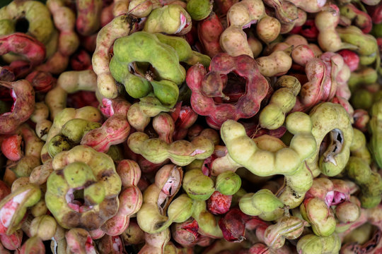 "Wild Tamarind" Images – Browse 1,333 Stock Photos, Vectors, and Video ...