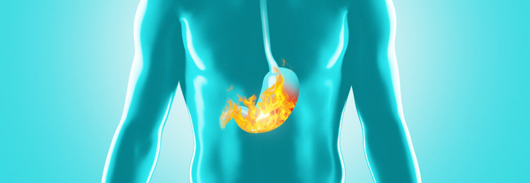 Stomaco Images – Browse 41 Stock Photos, Vectors, and Video | Adobe Stock