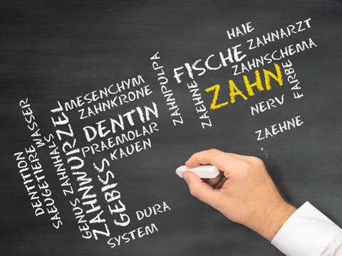 Wurzelzement Imagens – Procure 4 fotos, vetores e vídeos | Adobe Stock