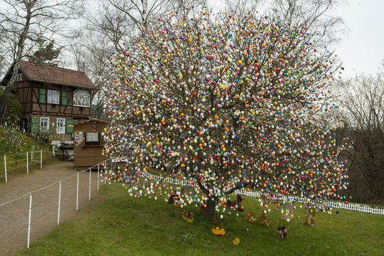 รูปภาพOstereierbaum – เลือกดูภาพถ่ายสต็อก เวกเตอร์ และวิดีโอ149 | Adobe ...