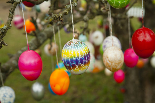 รูปภาพOstereierbaum – เลือกดูภาพถ่ายสต็อก เวกเตอร์ และวิดีโอ149 | Adobe ...