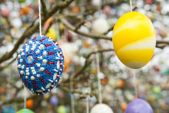 รูปภาพOstereierbaum – เลือกดูภาพถ่ายสต็อก เวกเตอร์ และวิดีโอ149 | Adobe ...