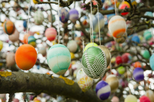 รูปภาพOstereierbaum – เลือกดูภาพถ่ายสต็อก เวกเตอร์ และวิดีโอ149 | Adobe ...