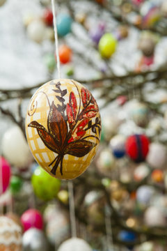 รูปภาพOstereierbaum – เลือกดูภาพถ่ายสต็อก เวกเตอร์ และวิดีโอ149 | Adobe ...