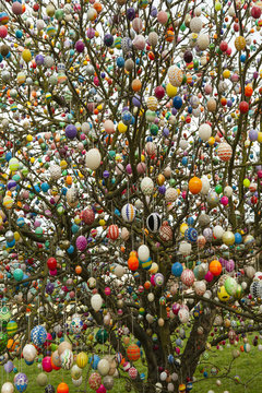 รูปภาพOstereierbaum – เลือกดูภาพถ่ายสต็อก เวกเตอร์ และวิดีโอ149 | Adobe ...