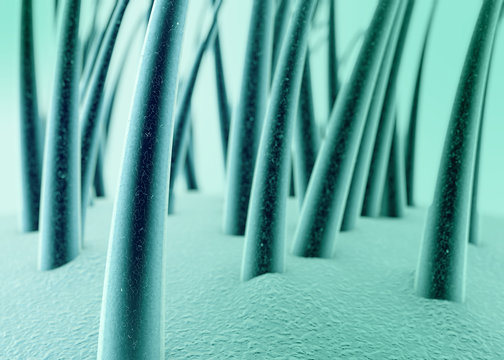 Microscopio Forfora Diagnosi Del Cuoio Capelluto | Analisi E Consigli