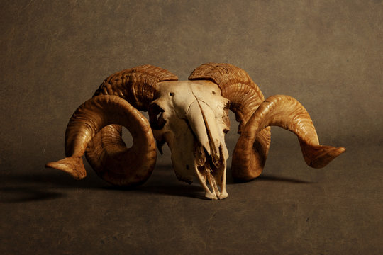 Azazel Images – Browse 28 Stock Photos, Vectors, and Video | Adobe Stock