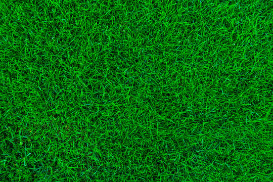 Repeating Grass Texture Images – Browse 18,331 Stock Photos, Vectors ...