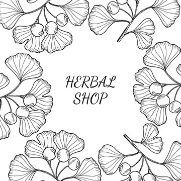 Ginkgopsida Images – Browse 37 Stock Photos, Vectors, and Video | Adobe ...