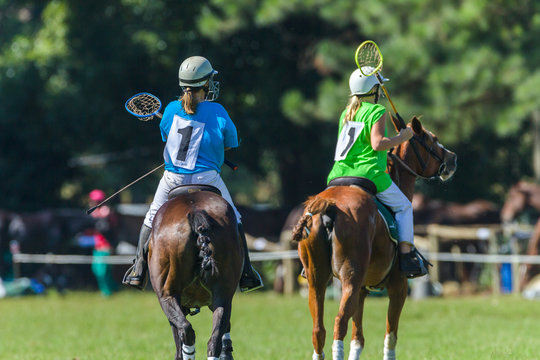 Polocrosse Images – Browse 62 Stock Photos, Vectors, and Video | Adobe ...