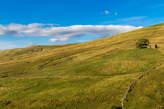 Cowgill Images – Browse 46 Stock Photos, Vectors, and Video | Adobe Stock